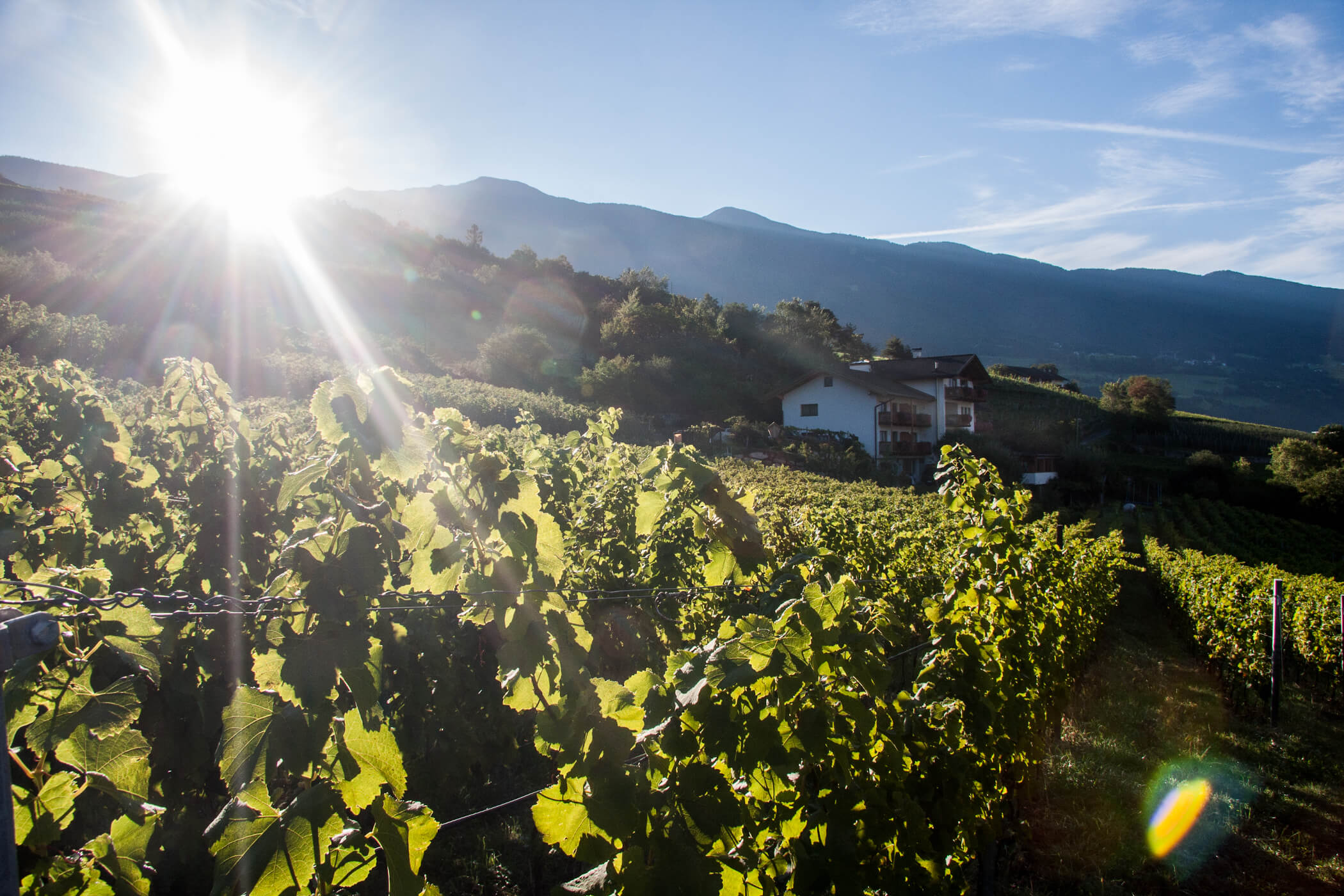 Gasthaus Sunnegg in Brixen | Ihre Wohlfühloase mitten im Weinberg